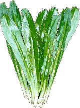 RECAO - Boricua Produce